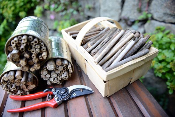How to build an insect hotel with kids - kidsandtheoutdoors.com